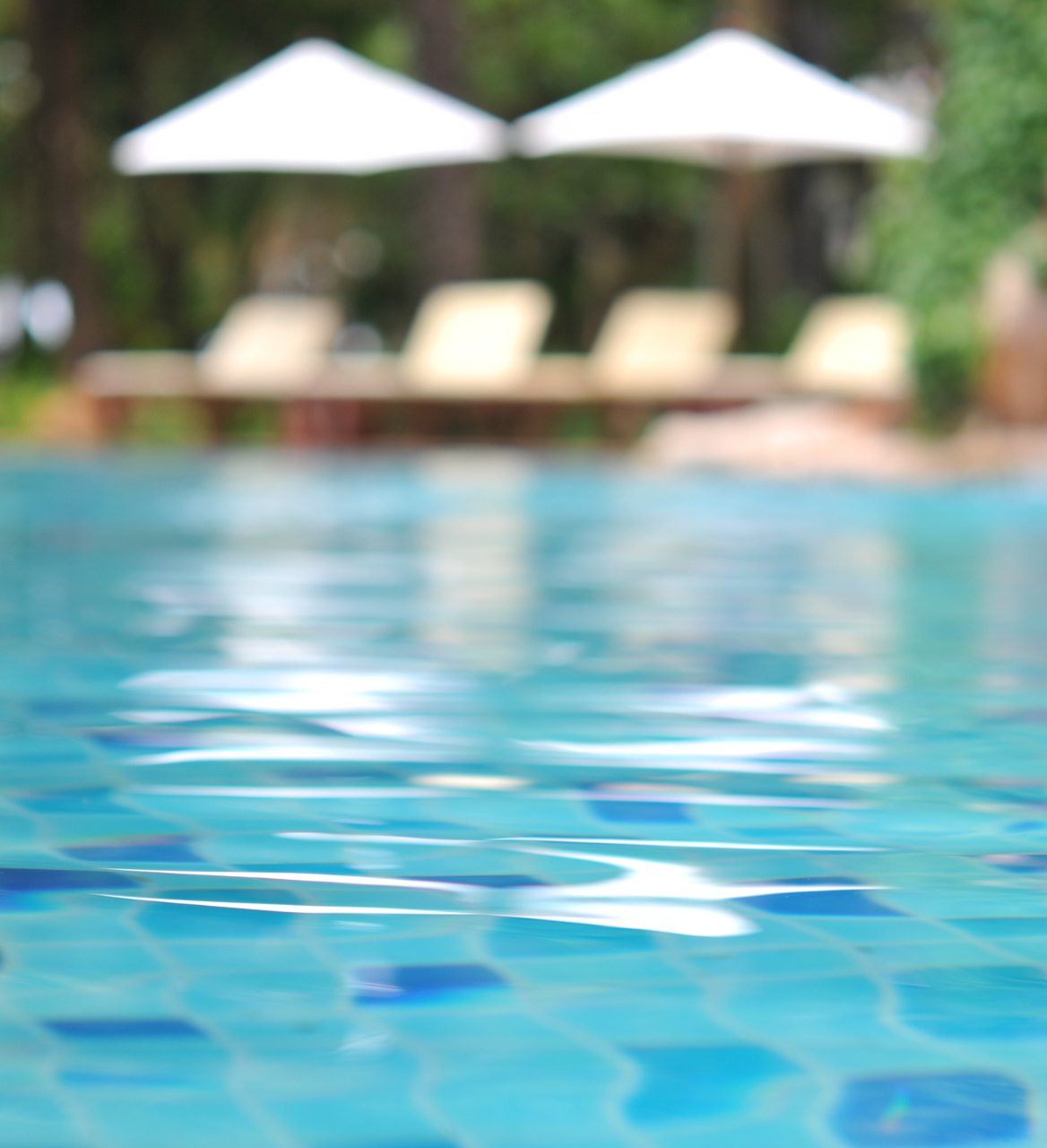 Applications | VivoPoint